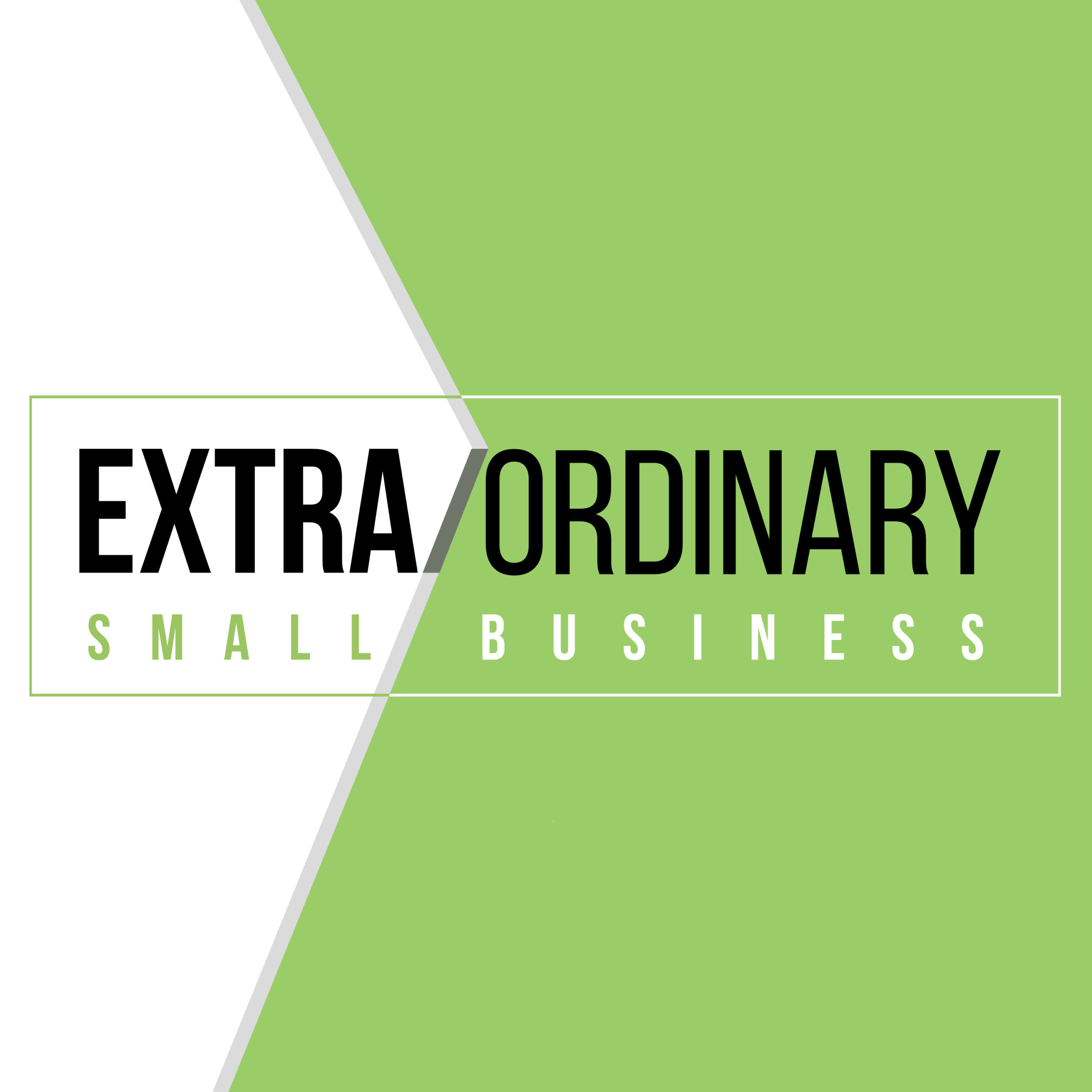 Home - Extra/Ordinary Small Business